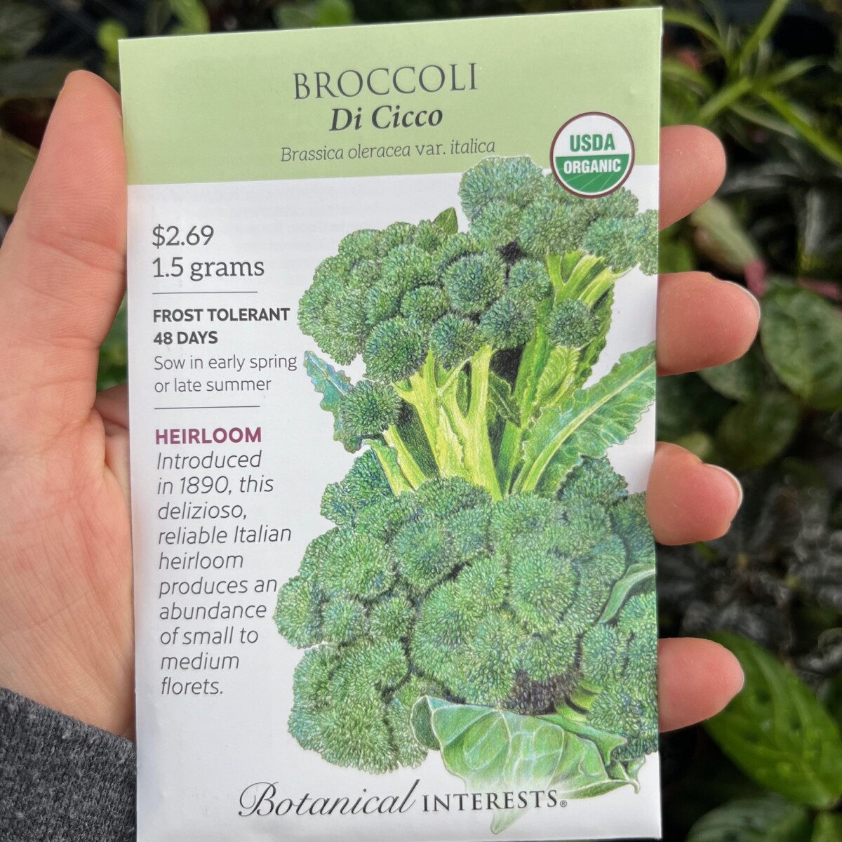 Botanical Interests Broccoli Di Cicco - Klein's Floral & Greenhouses