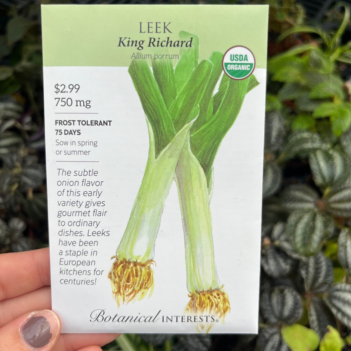 Botanical Interests Leek King Richard Organic - Klein's Floral ...