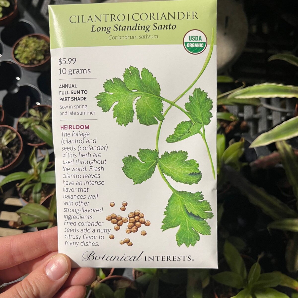 Botanical Interests Cilantro/Coriander Long Standing - Klein's Floral ...