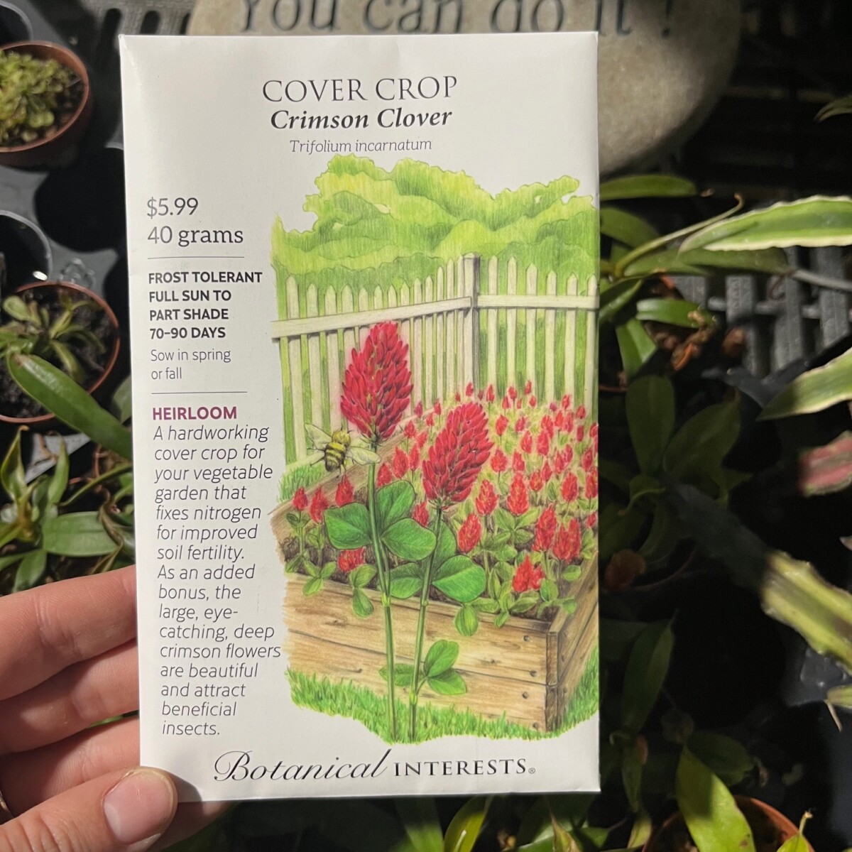 Botanical Interests Cover Crop Crimson Clover - Klein's Floral ...
