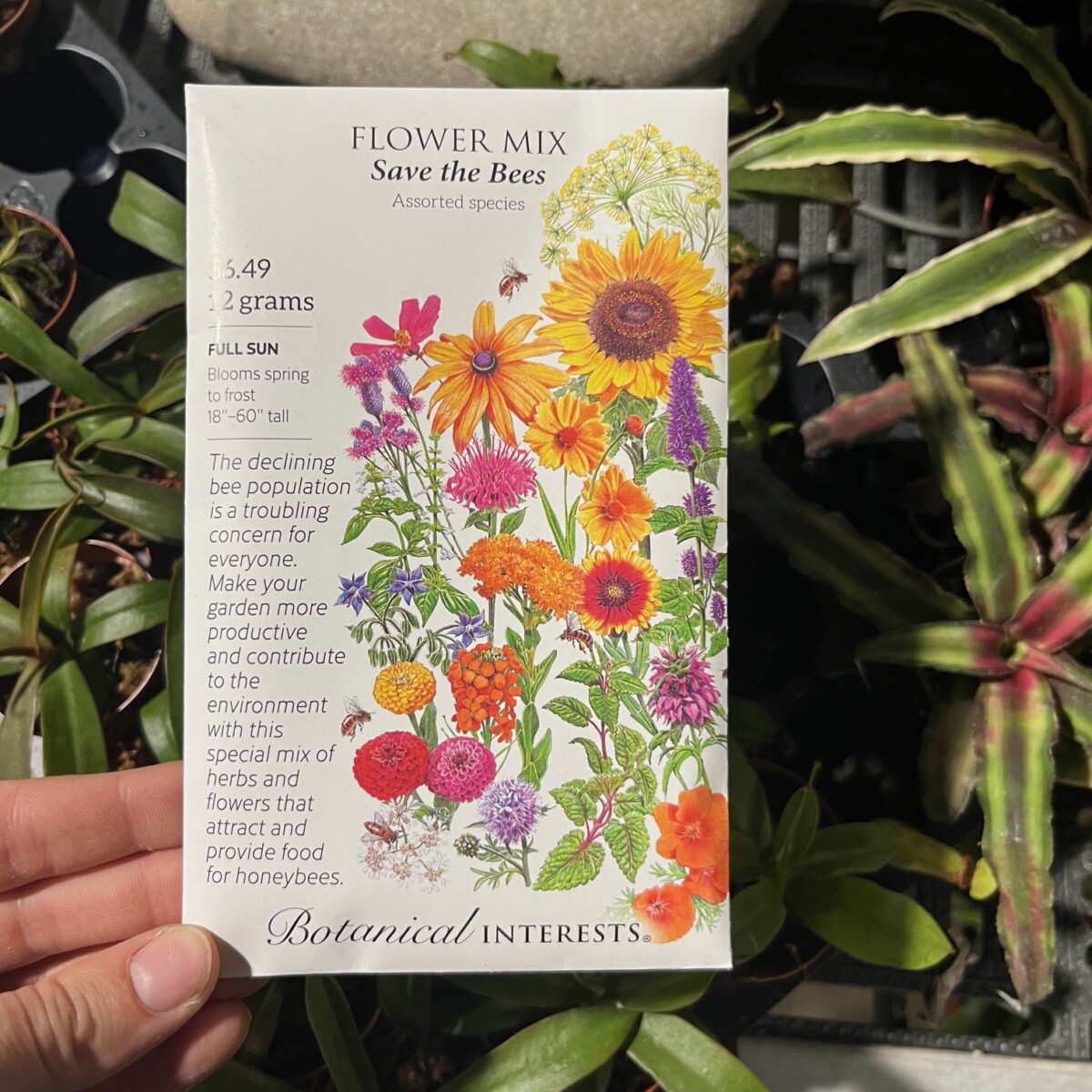 Botanical Interests Flower Mix Save the Bees - Klein's Floral & Greenhouses