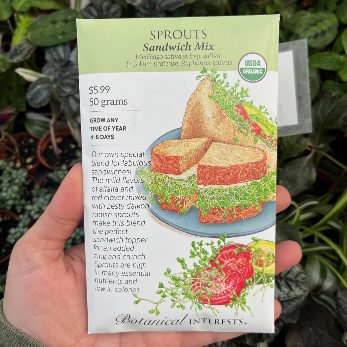 Botanical Interests Sprouts Sandwich Mix Organic - Klein's Floral ...