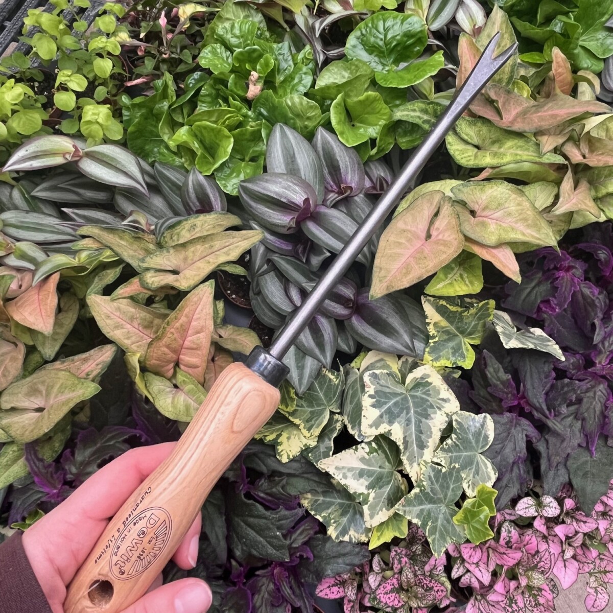 DeWit Dandelion Weeder - Klein's Floral & Greenhouses