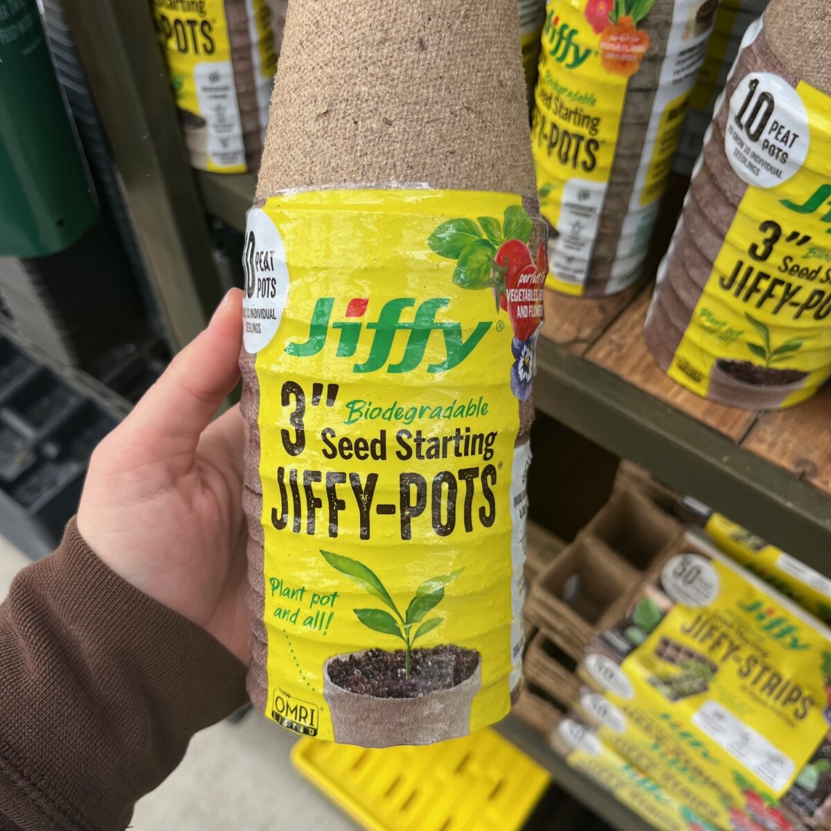 Jiffy Pots 3" pack of 10 - Klein's Floral & Greenhouses