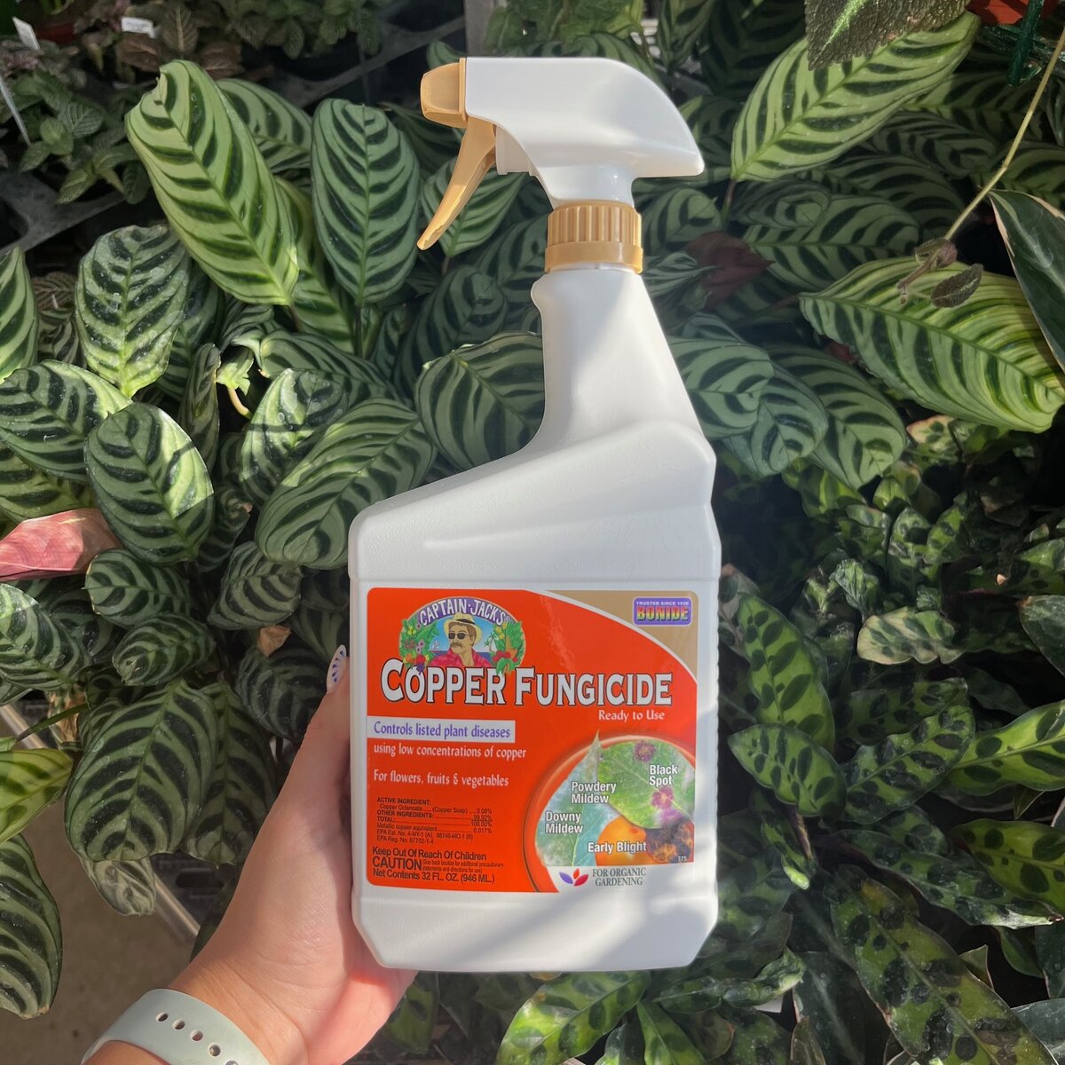 Bonide Liquid Copper Fungicide 32 fl. oz. RTU - Klein's Floral ...