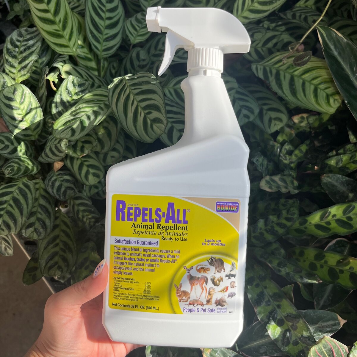 Bonide Repels All RTU 32 oz - Klein's Floral & Greenhouses