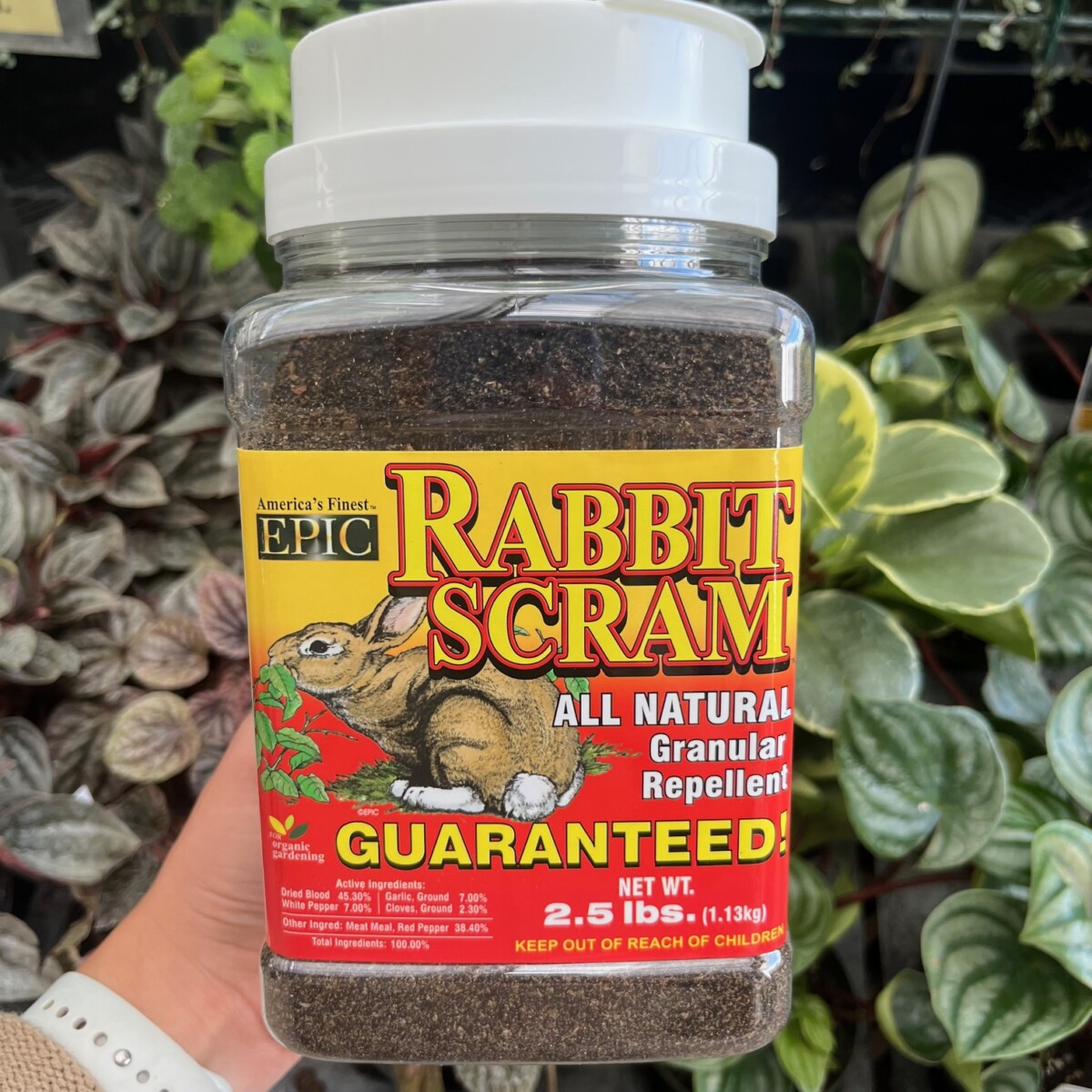 Epic Rabbit Scram 2.5# Shaker - Klein's Floral & Greenhouses