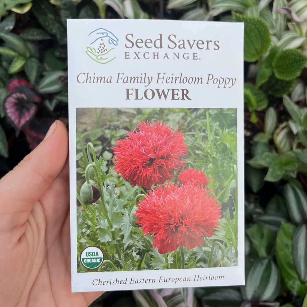 Seed Savers Chima Family Heirloom Poppy - Klein's Floral & Greenhouses