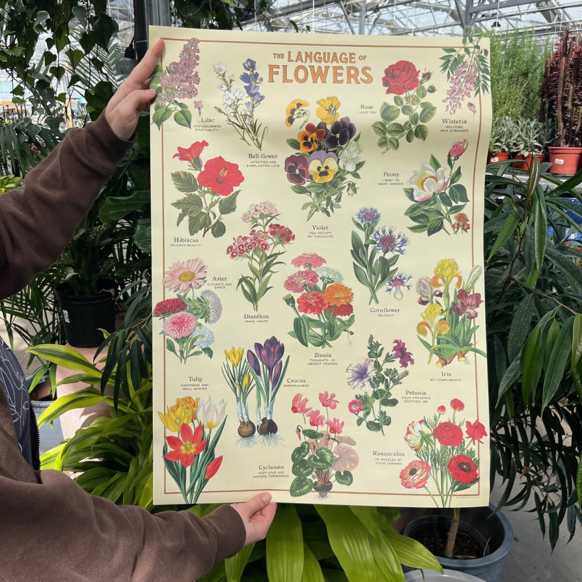 Cavallini & Co. Language of Flowers Poster - Klein's Floral & Greenhouses
