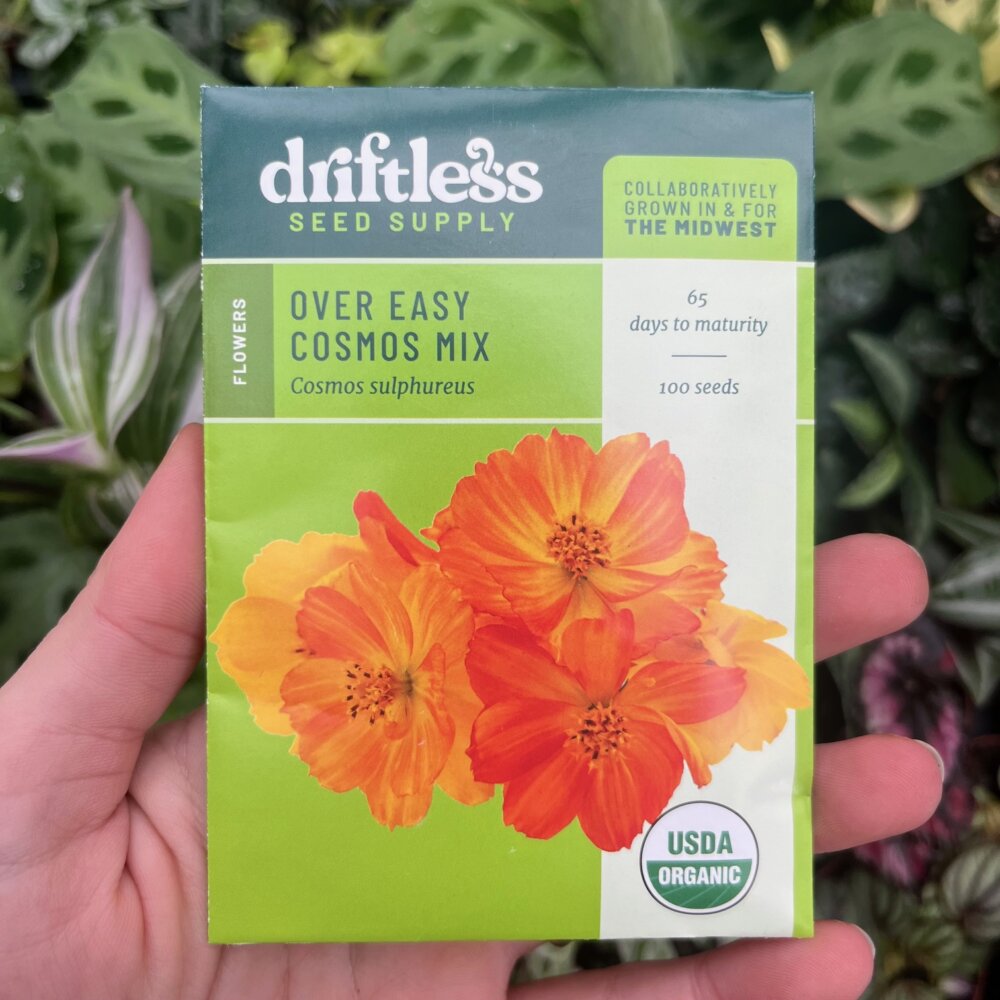Driftless Seed Supply Over Easy Cosmos mix - Klein's Floral & Greenhouses